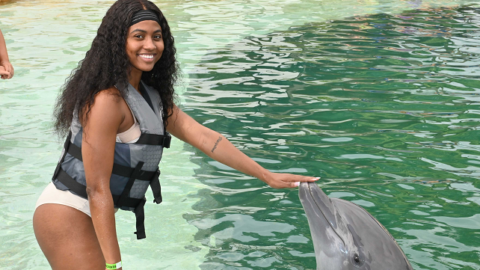 Dolphin Encounter (non-swim) fun in Miami - (305) 556-5085